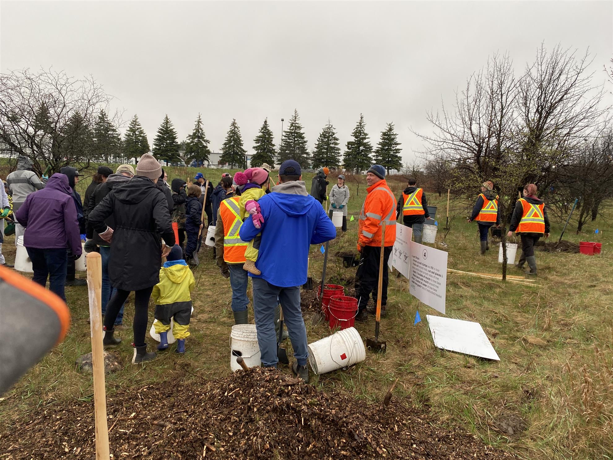 Successful Rotary Forest tree planting 2023 | Rotary Club of Guelph