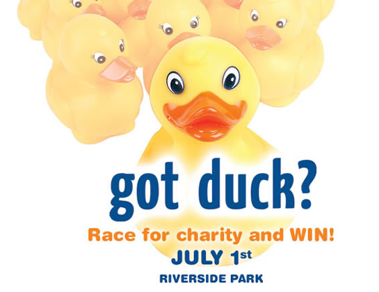Got Duck | Rotary Club of Guelph Wellington