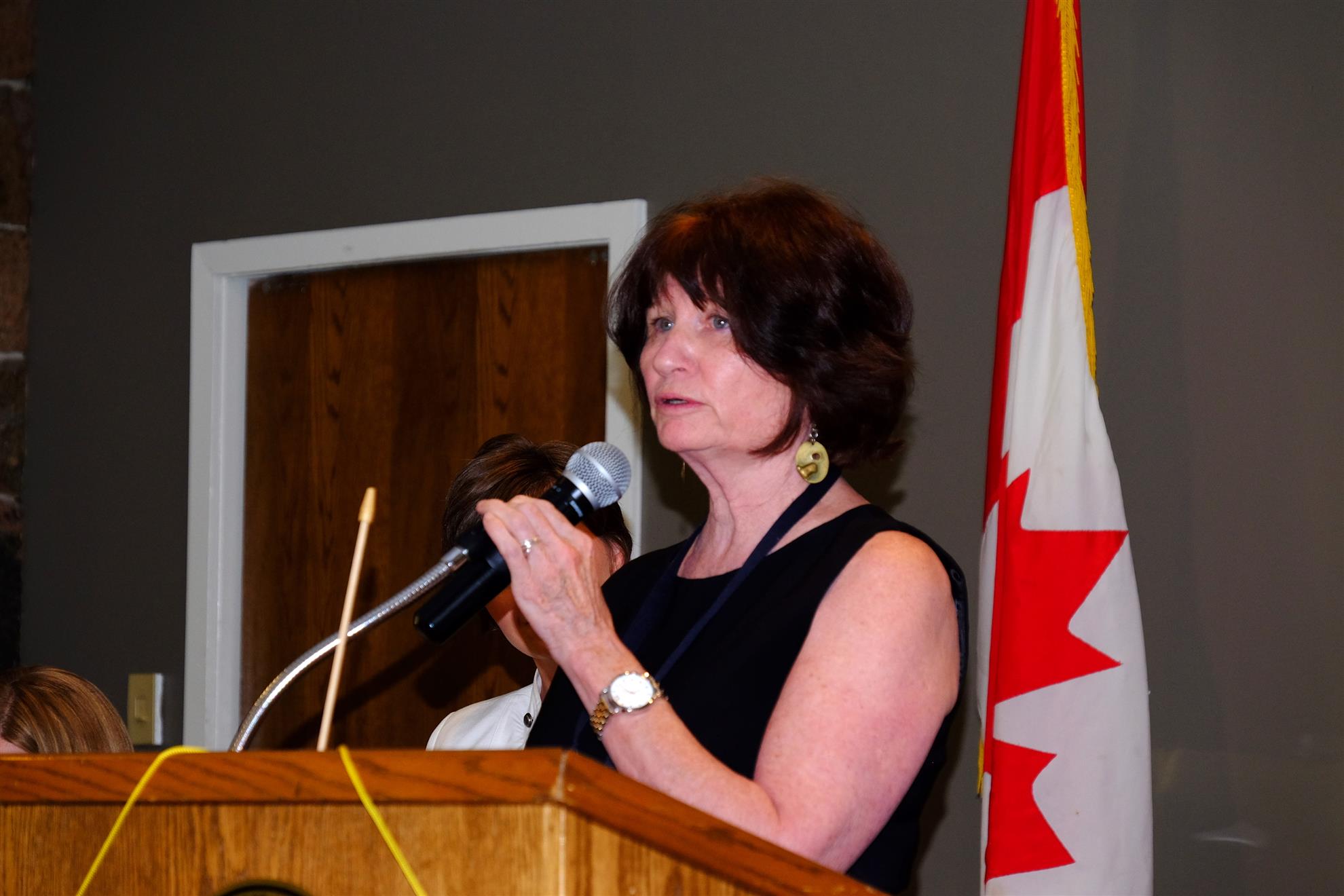 Rotary Club Highlights - June 02 2016 - #45 | Rotary Club of St. Catharines