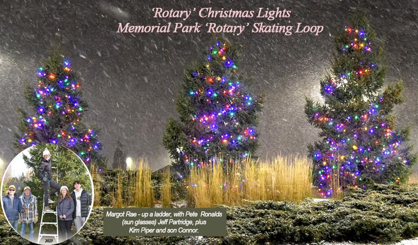 Memorial Park Tree Lighting | Rotary Club of Waterdown
