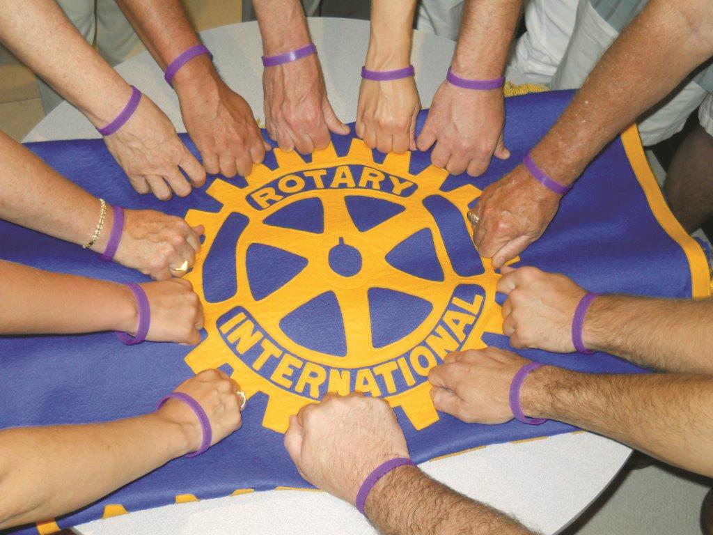 Rotary Clubs Celebrate World Polio Day 2020 | Rotary Club of Jamestown ...