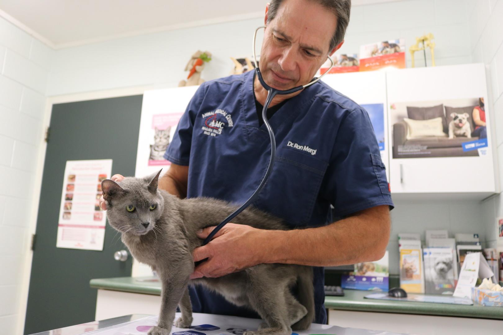 Dr. Ron Mergl Memorial Scholarship | Rotary Club of Niagara Falls ON