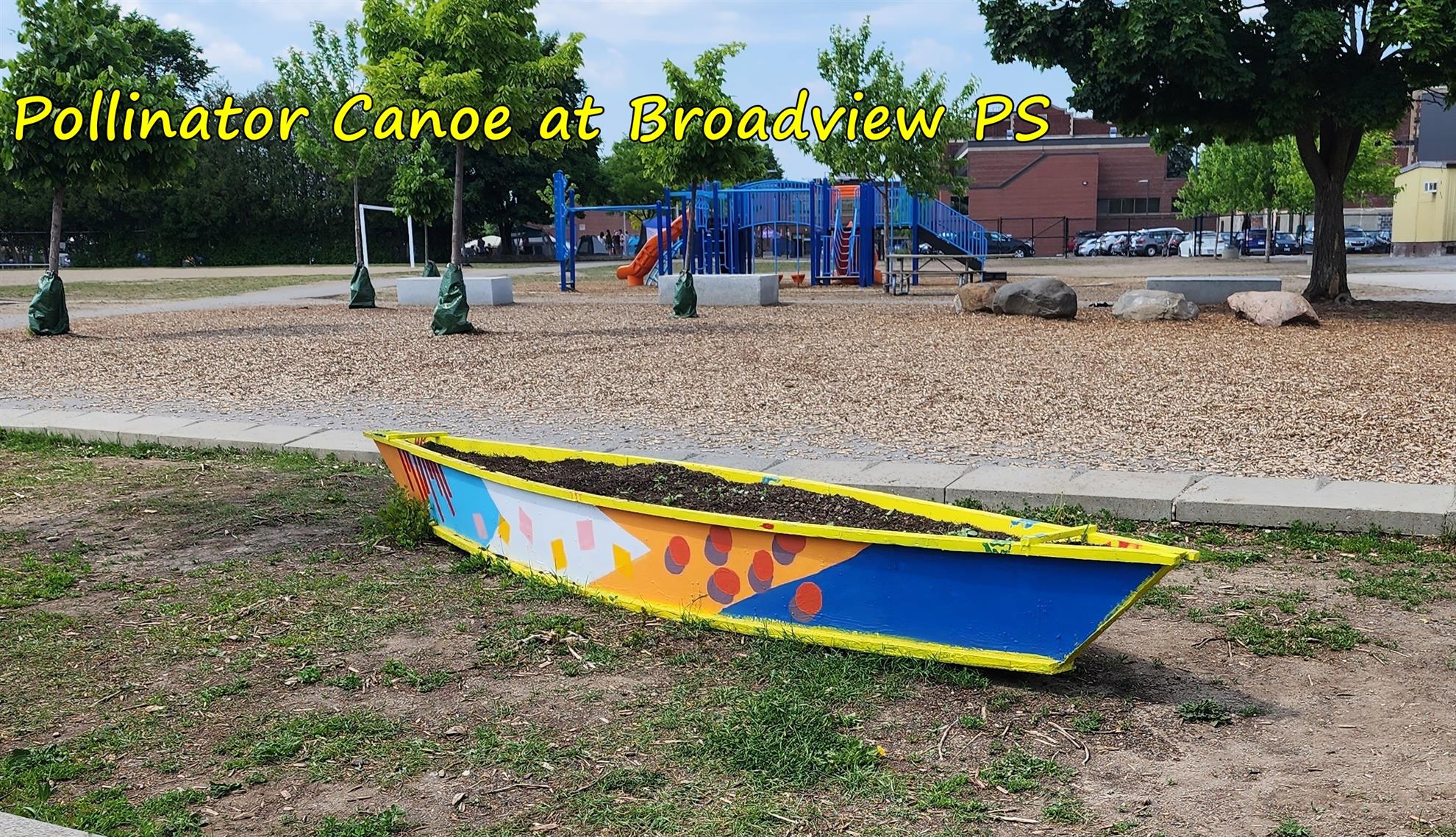 Planting the Pollinator Canoes 1 June 2023 Broadview PS | Rotary Club ...