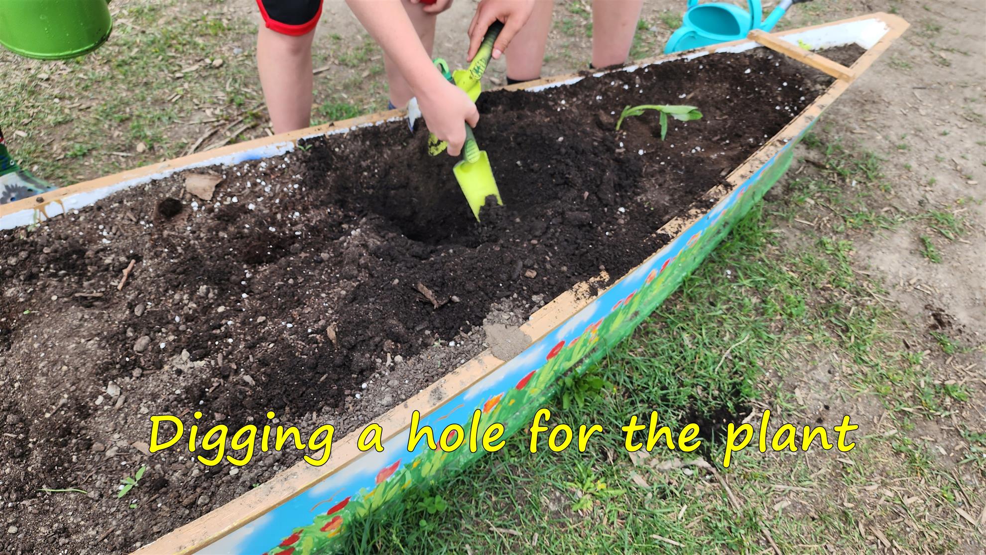 Planting the Pollinator Canoes 1 June 2023 Broadview PS | Rotary Club ...