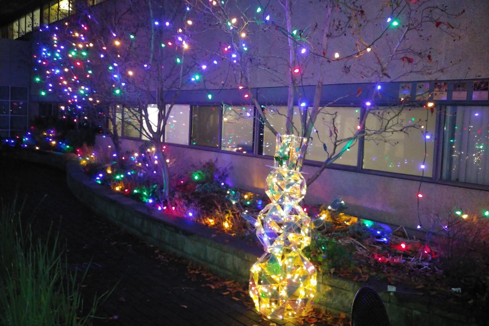 Rotary lights up hospital for Christmas | Rotary Club of Ladner (Delta)
