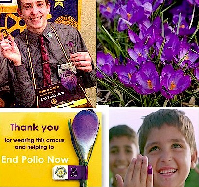 The Purple Flower | Anchorage International Rotary Club