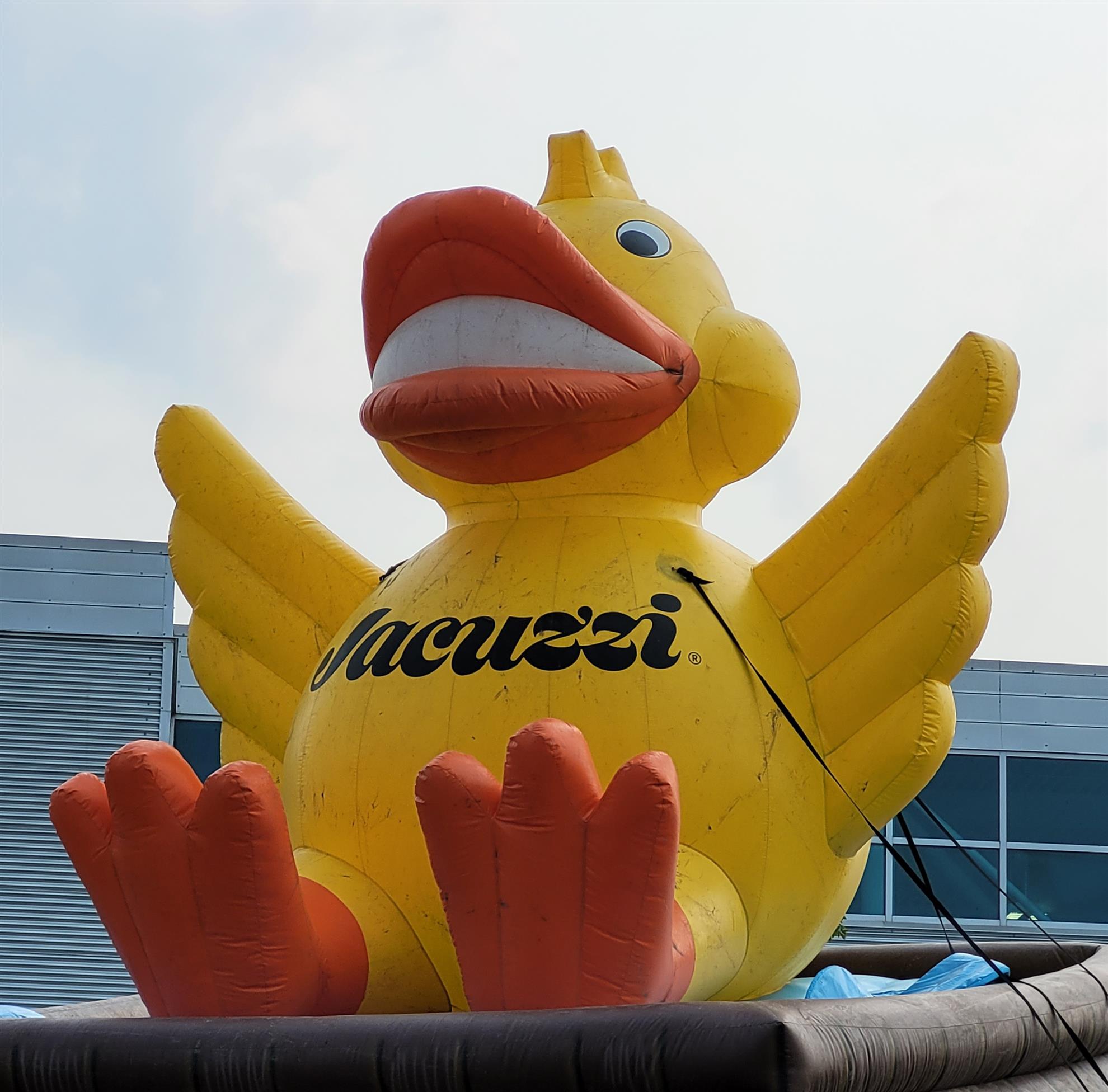 The 2025 Lucky Duck Race | Rotary Club of Kenora