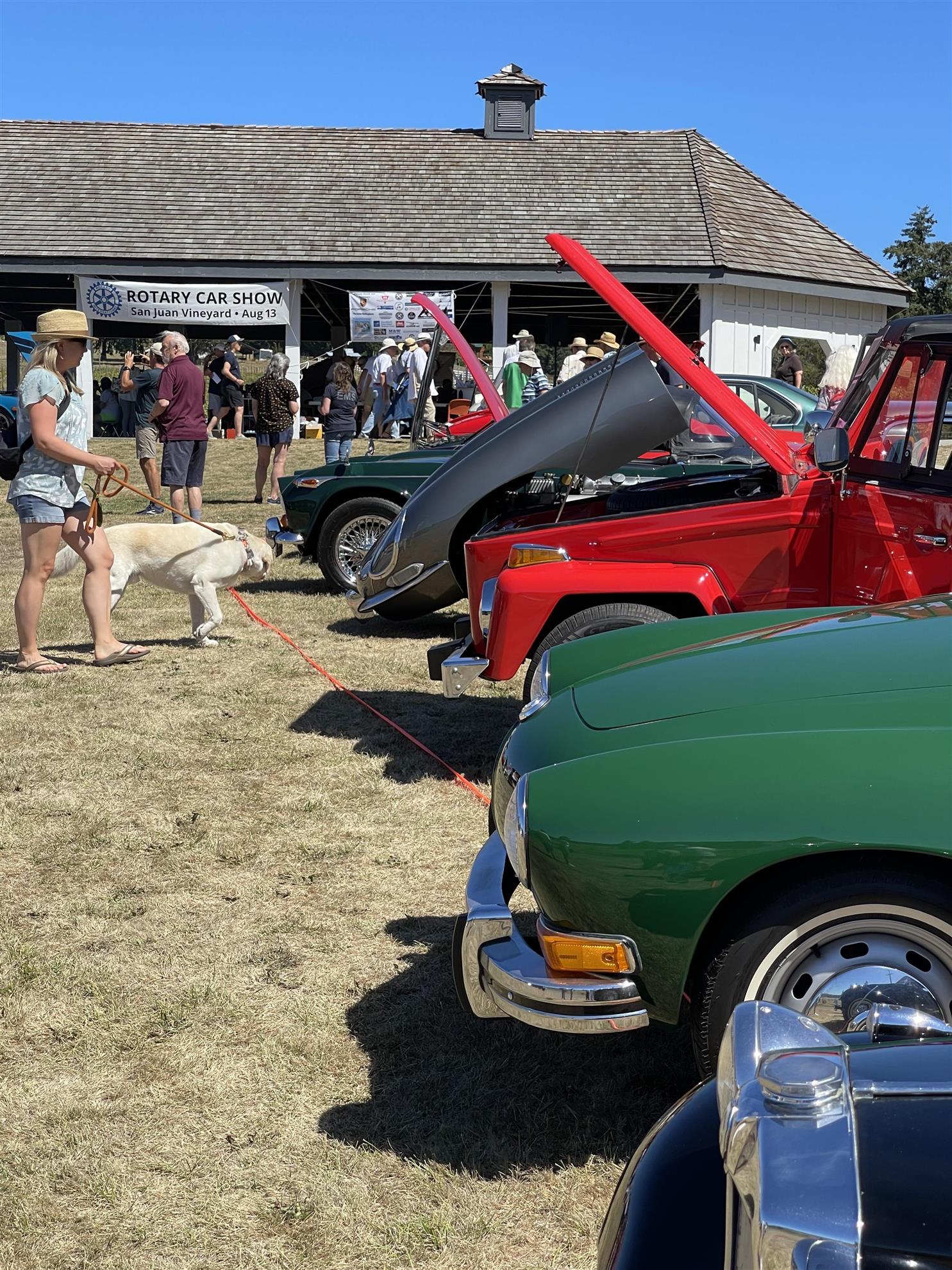 Rotary Car Show 2023 | Rotary Club of the San Juan Island (Friday Harbor)