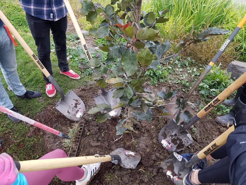 Tree Planting was a Success | Rotary Club of Walla Walla #271