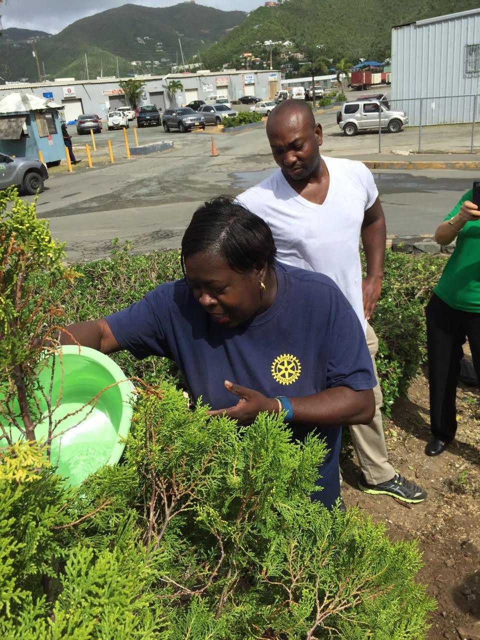 Rotarians Plant Christmas Tree at Port Purcell Roundabout | Rotary Club ...