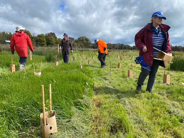 Tree Planting - Building a Bird & Animal Corridor | Rotary Club of ...