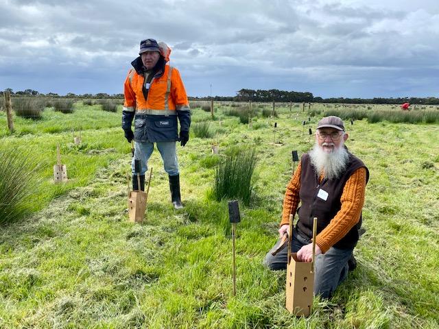 Tree Planting - Building a Bird & Animal Corridor | Rotary Club of ...
