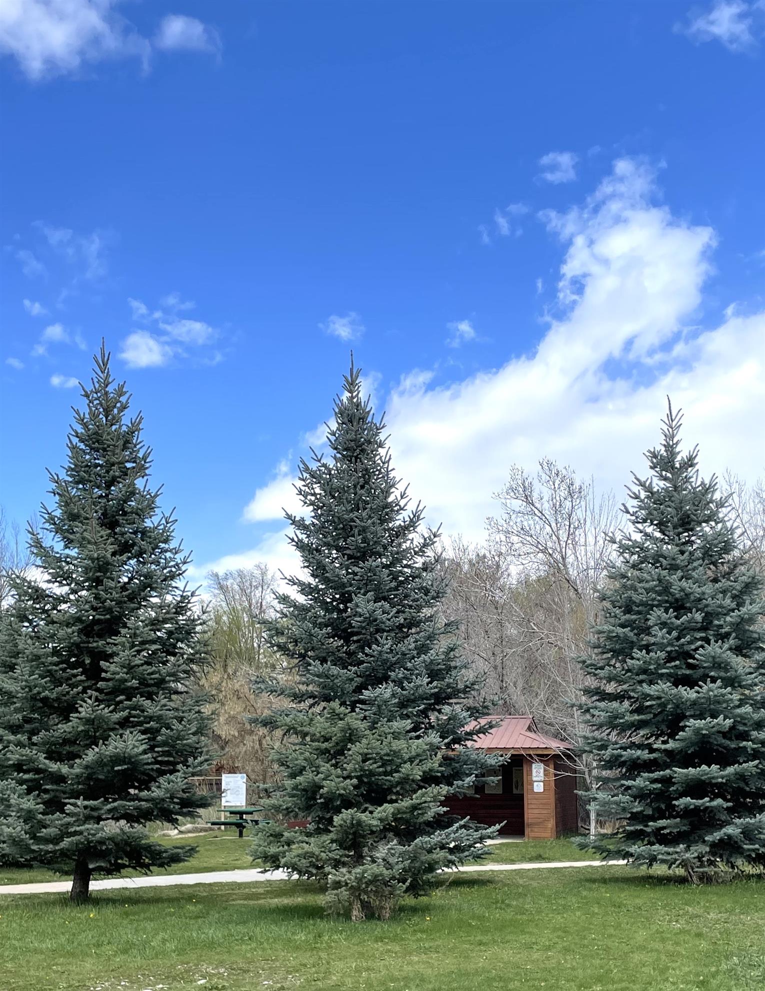 100 Trees for 100 Years....Memories | Rotary Club of Logan, Utah