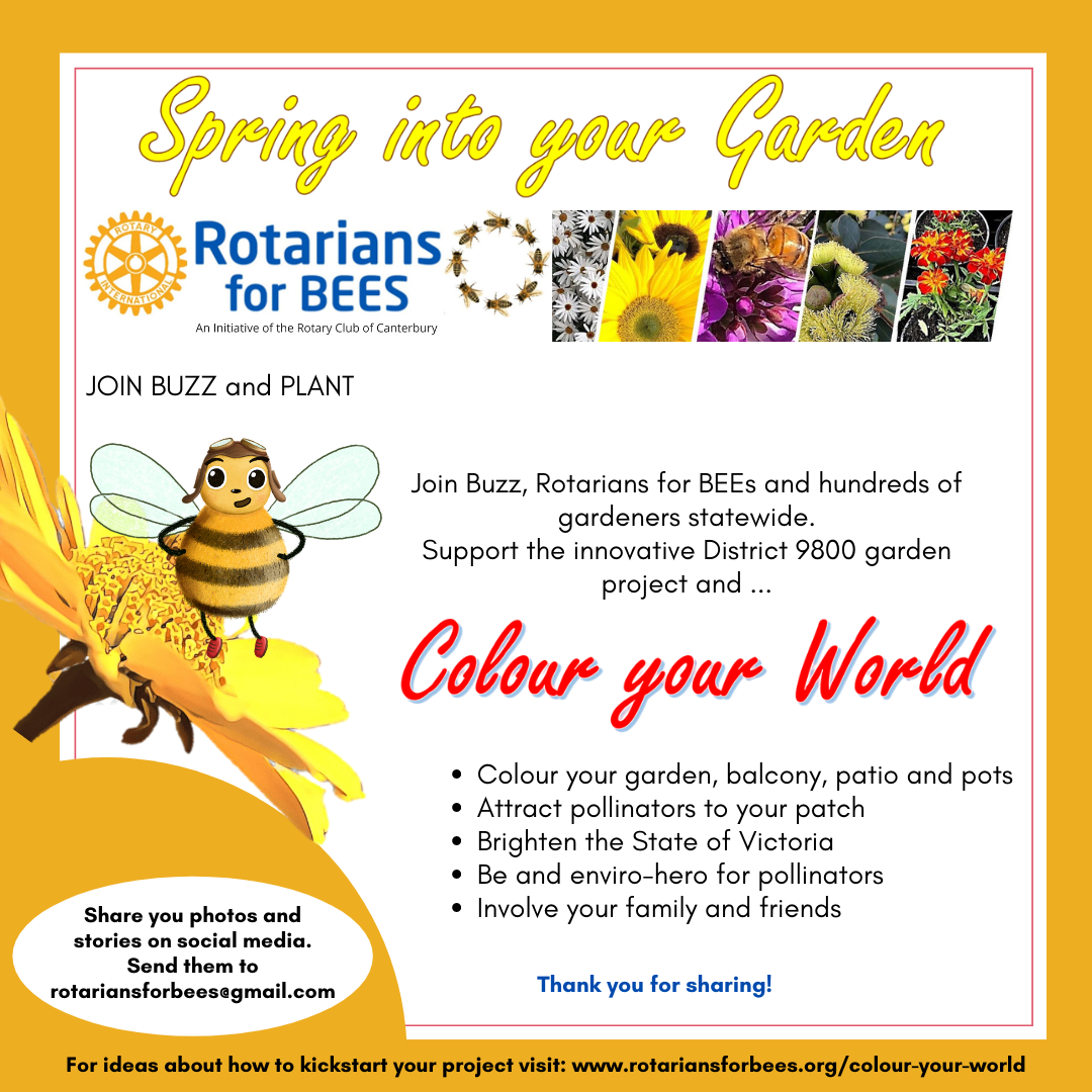 Rotarians for Bees Project | Rotary Club of Highton