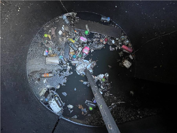 Environment News | Rotary Club of Torquay