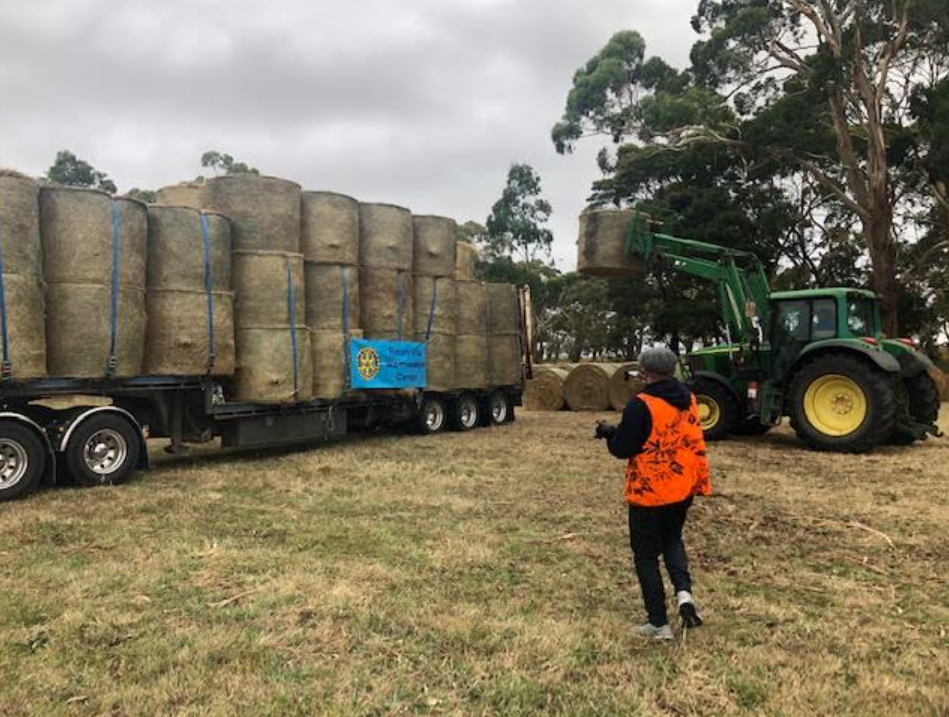 Central Spoke 05.02.2020 (Jan 28, 2020)