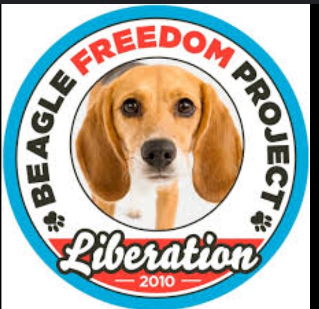 Beagle Freedom Project - An Update | Rotary Club of Lake Placid
