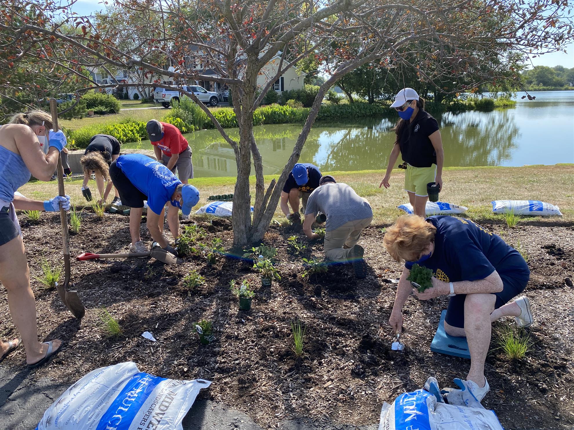 NEW POLLINATION GARDEN AT FOX POINT | Barrington Rotary Club