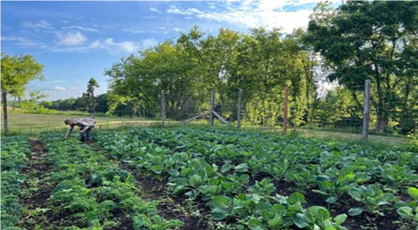 AGSH SMART FARM | Barrington Rotary Club