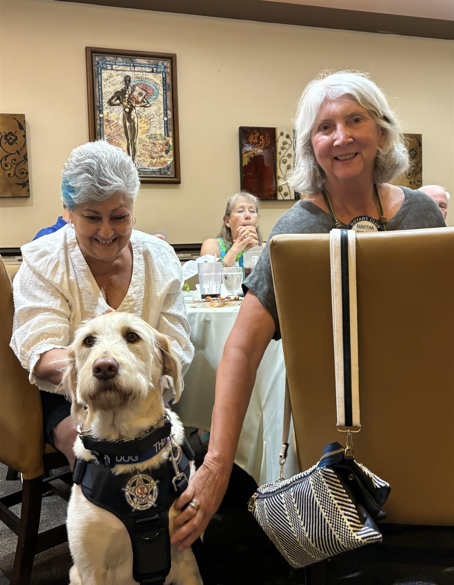 Last Week's Meeting | Rotary Club of Buffalo Grove