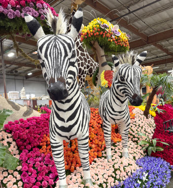 Axis Newsletter -Jan 15, 2026 (Jan. 15, 2026)