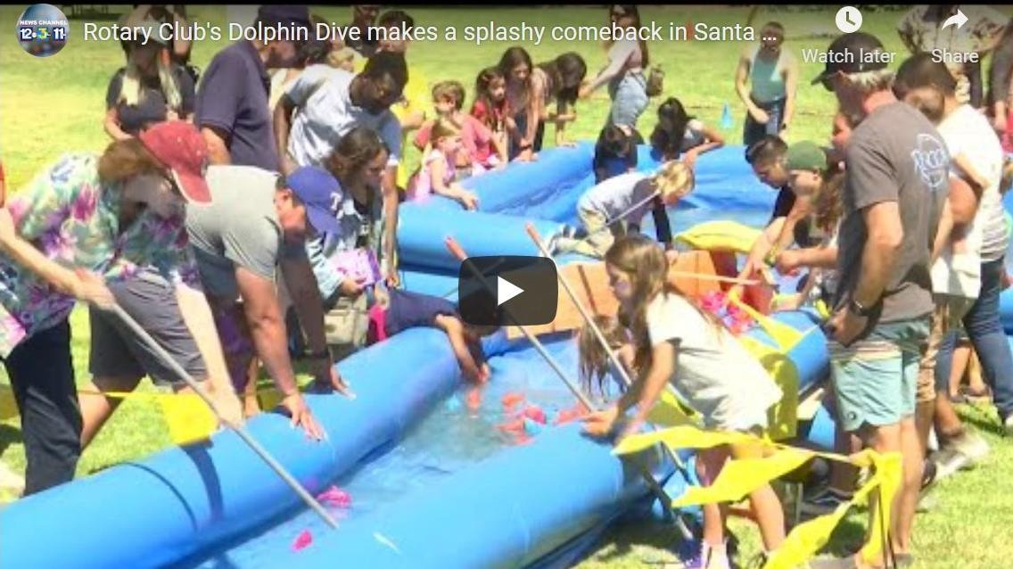 Dolphin Dive Makes a Splash | Rotary Club of Santa Barbara Sunrise