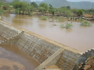 Club to Donate $250 to Indian Dam | Rotary Club of Marion-East Cedar Rapids