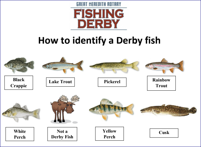 Fishing Derby Day 1 | Rotary Club of Meredith