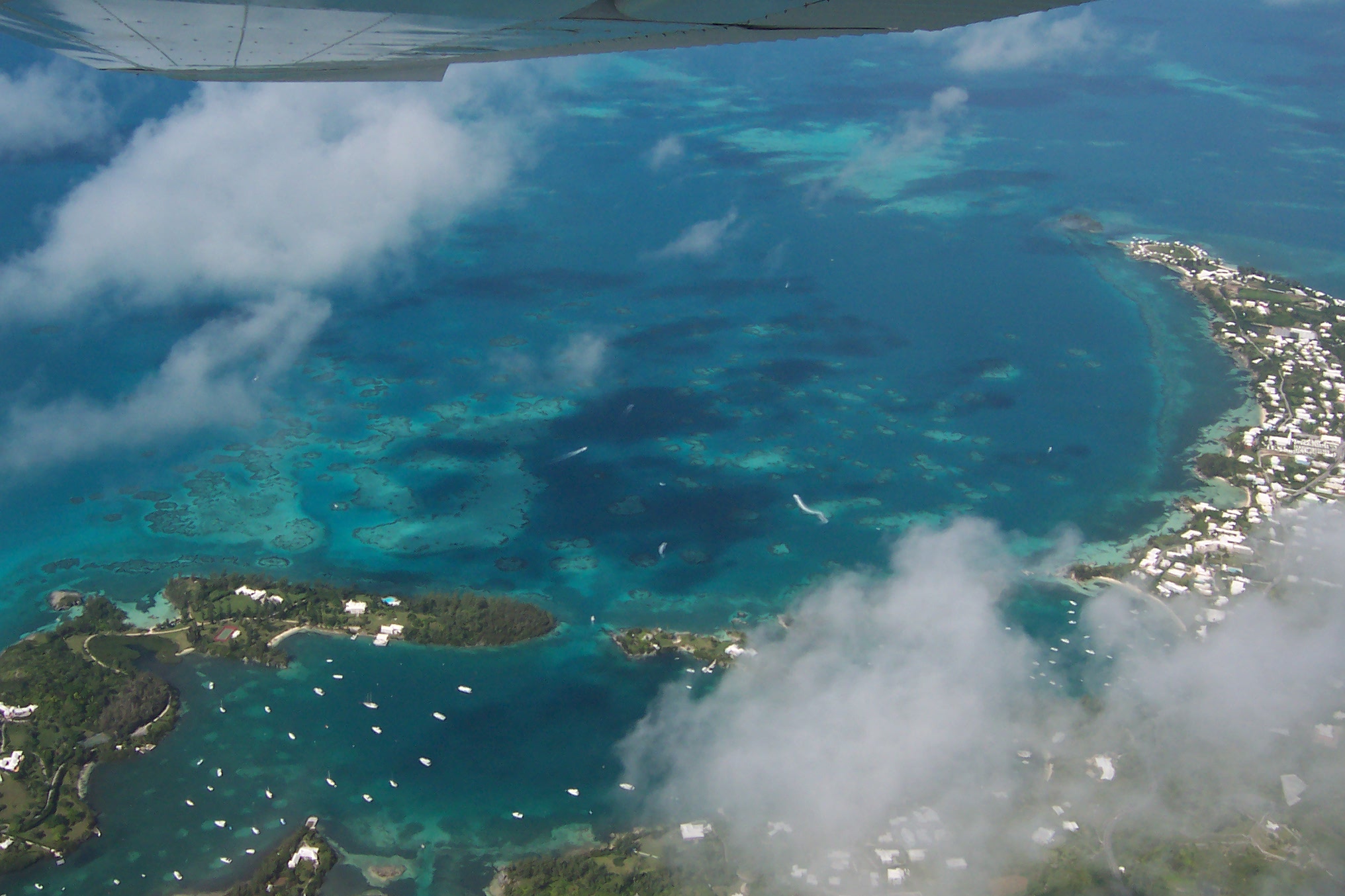 Bermuda | Rotary Club of Sandy's