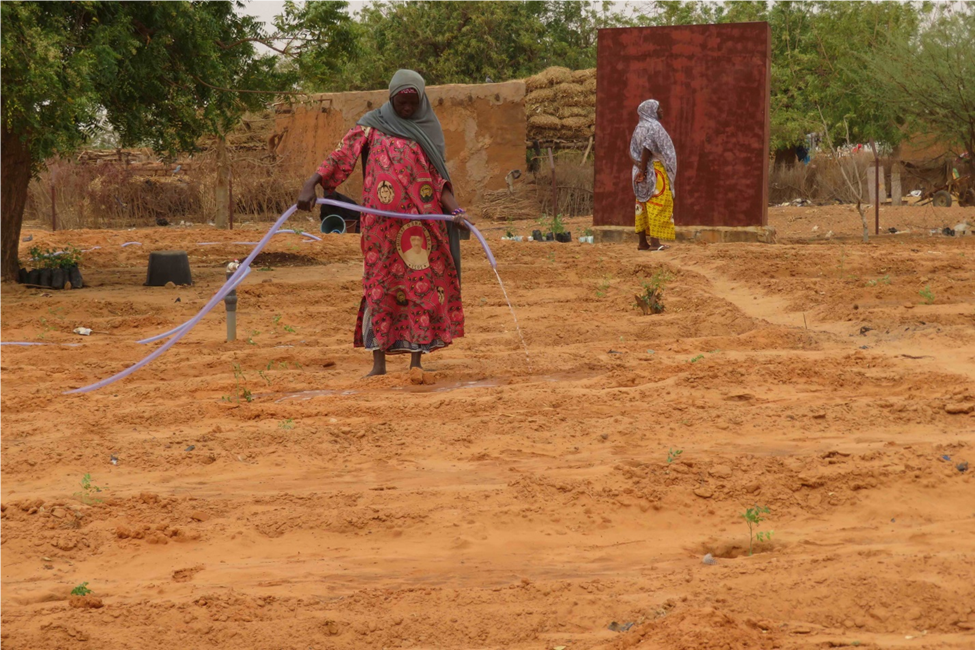 Niger Global Grant Update | Rotary Club of Colorado Springs