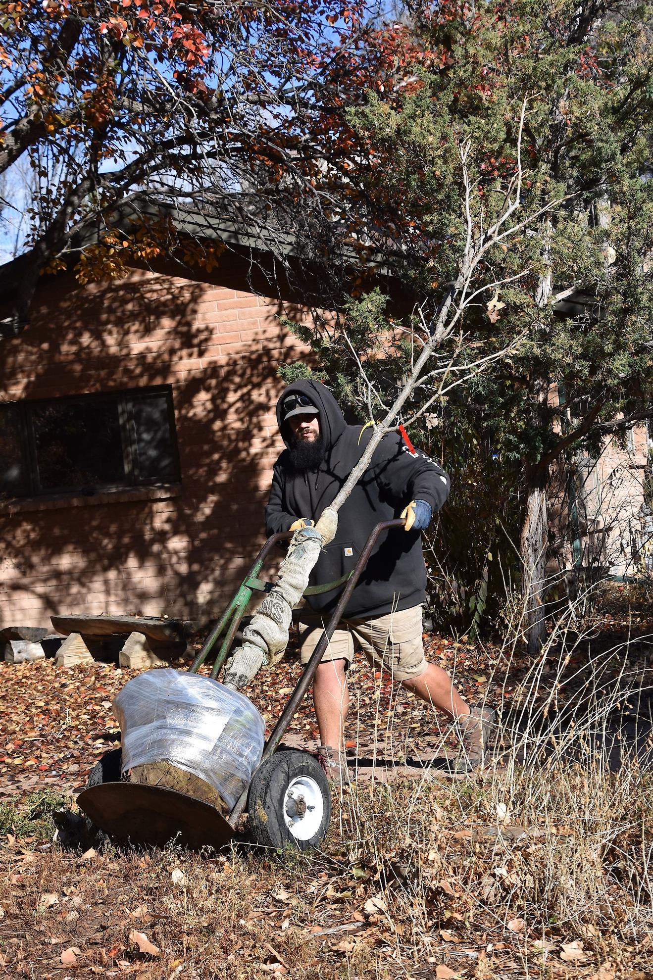 Tree Planting | Rotary Club of Colorado Springs
