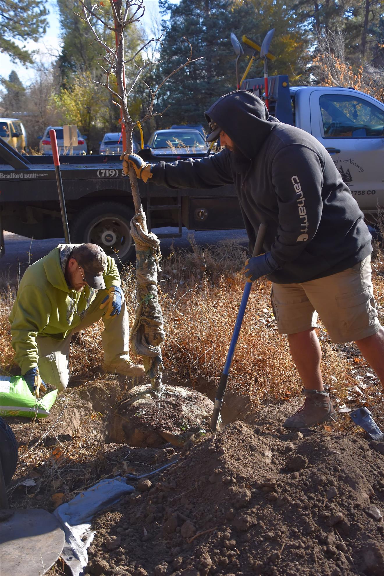 Tree Planting | Rotary Club of Colorado Springs