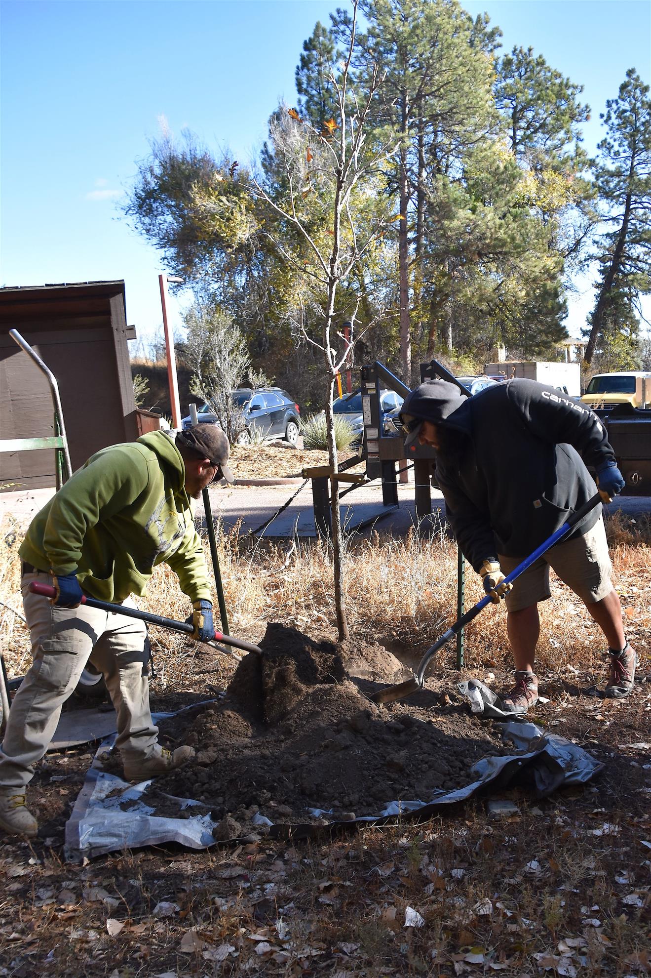 Tree Planting | Rotary Club of Colorado Springs