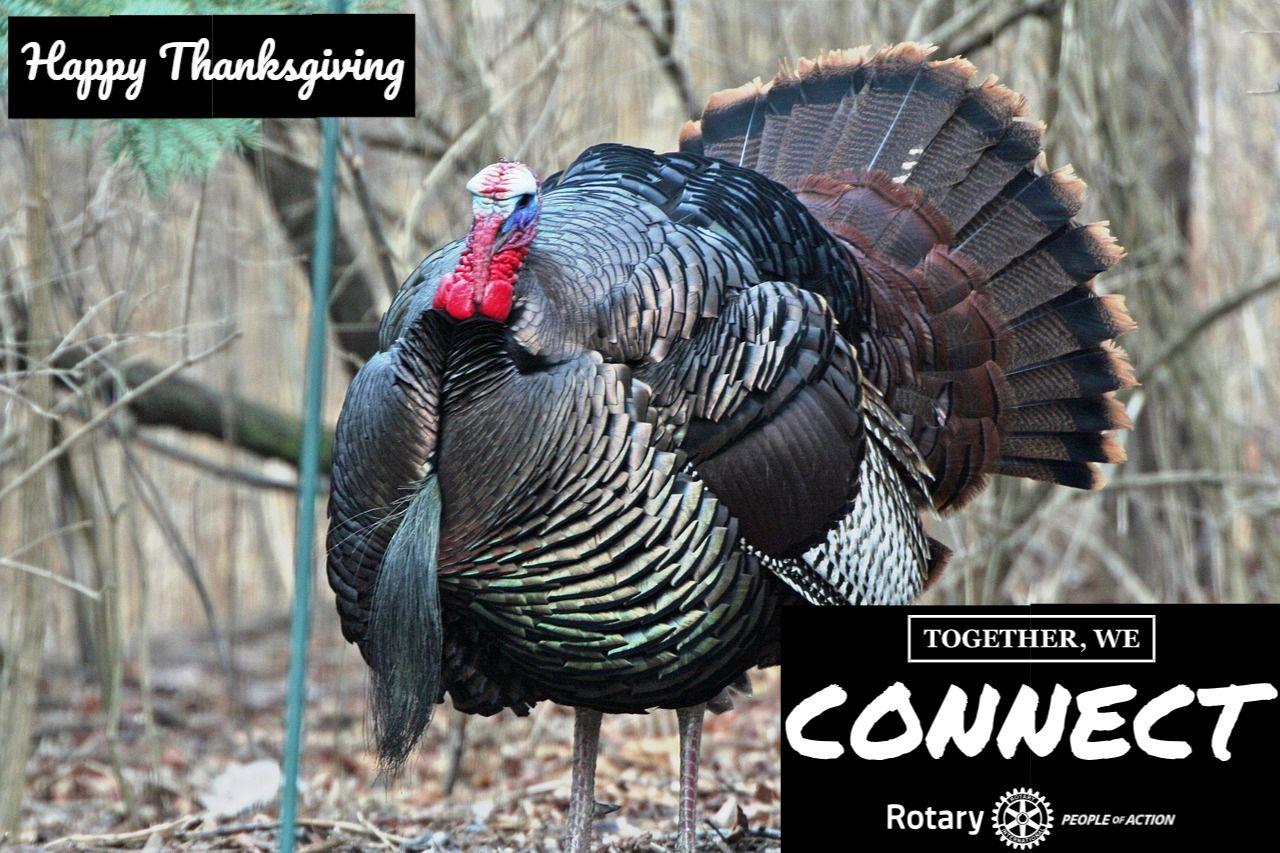 Thanksgiving | Rotary Club of Quitman