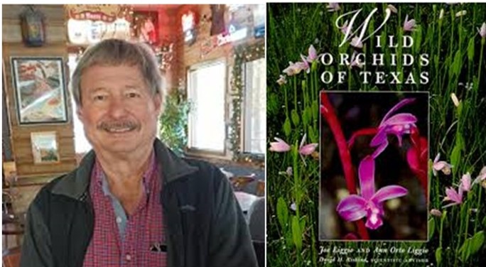 Orchids, Wildflowers-Houston Botanist Joe Liggio | Rotary Club of ...