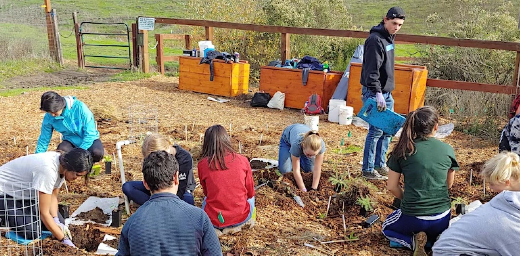 Habitat Restoration Project at Byrne Preserve | Rotary Club of Los Altos