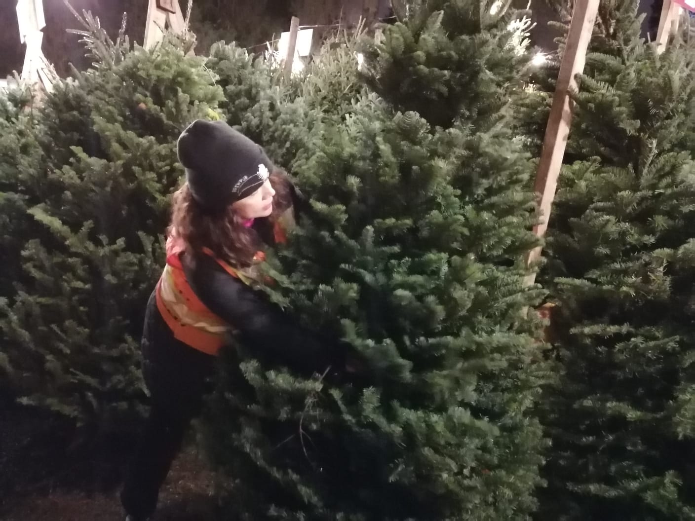 Volunteering at Aunt Leah's Christmas Tree Lots | Rotary Club of ...