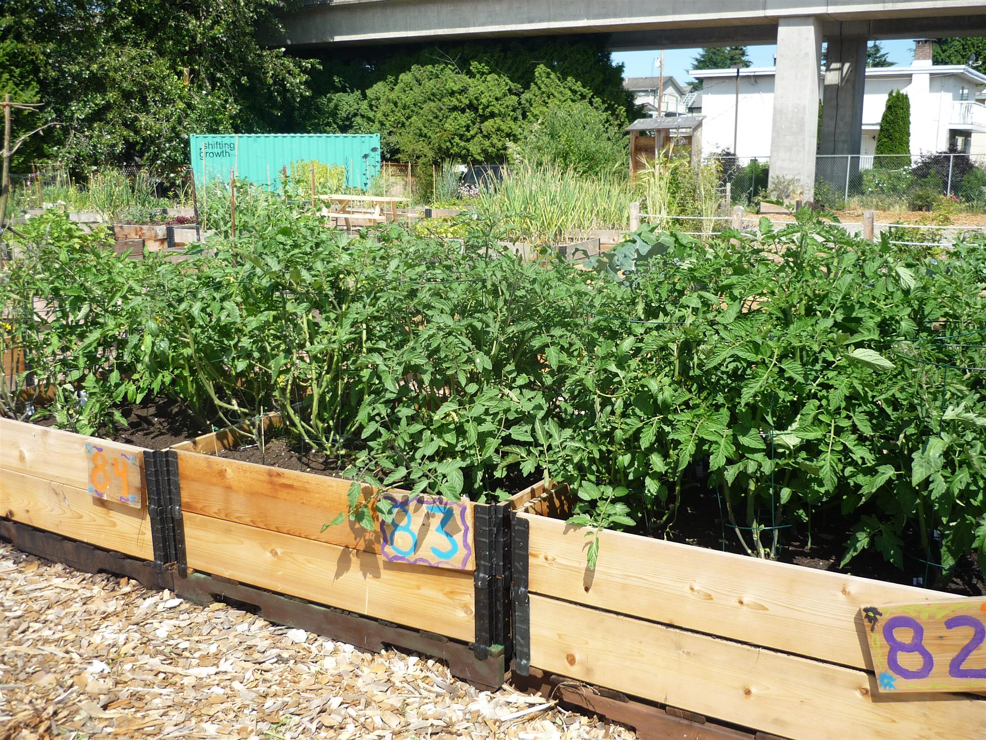 How Does Your Garden Grow? | Rotary Club of Vancouver Yaletown