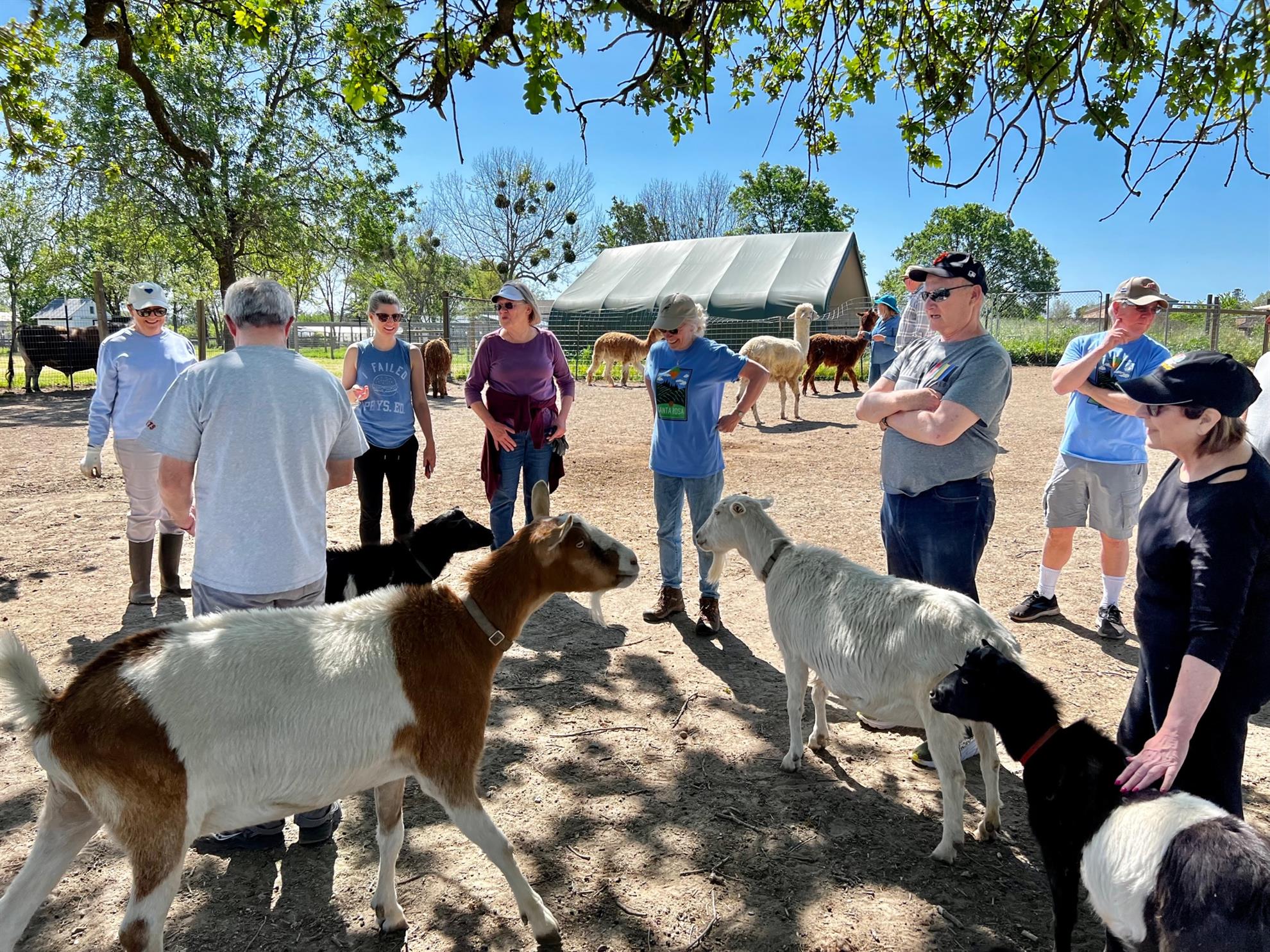 Forget Me Not Farm Work Day | Rotary Club of Santa Rosa Sunrise