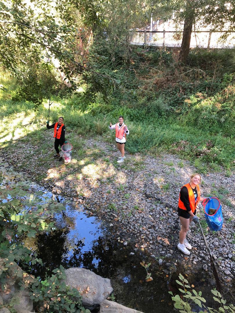 Creek Clean Up | Rotary Club of Santa Rosa Sunrise