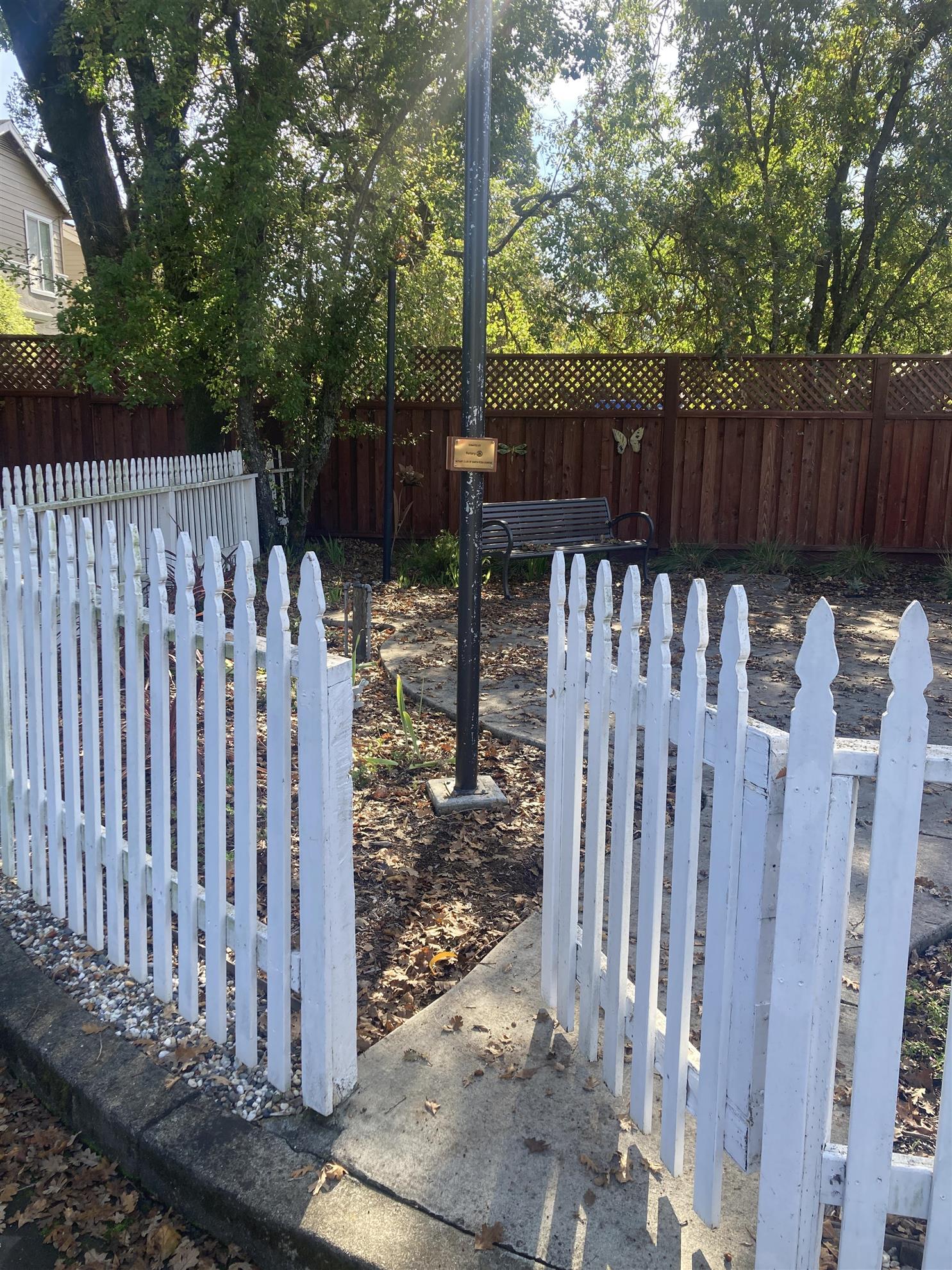 The Golden Hammer Out and About | Rotary Club of Santa Rosa Sunrise