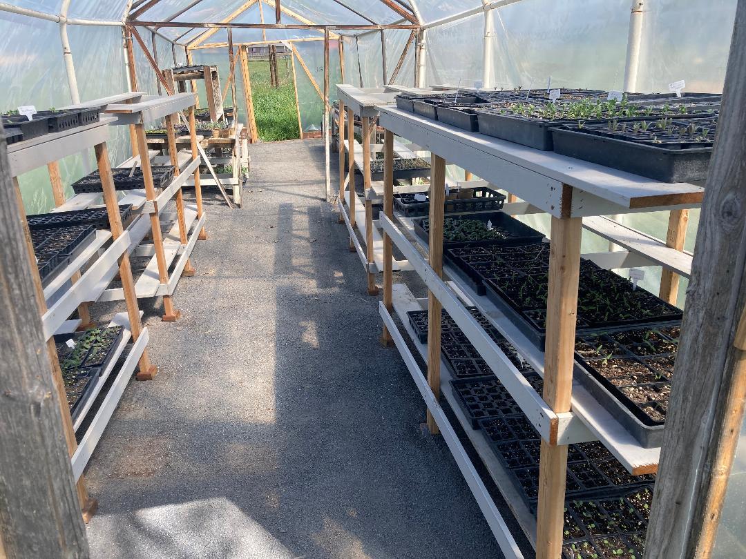 Forget Me Not Farm | Rotary Club of Santa Rosa Sunrise