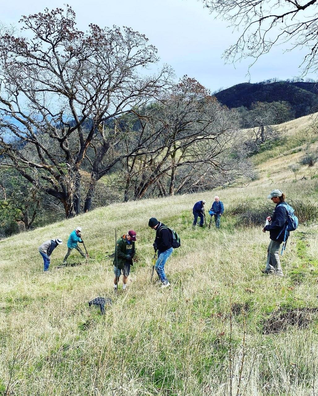 Multi-Club Tree Planting a Super Success! | Rotary Club of Santa Rosa ...