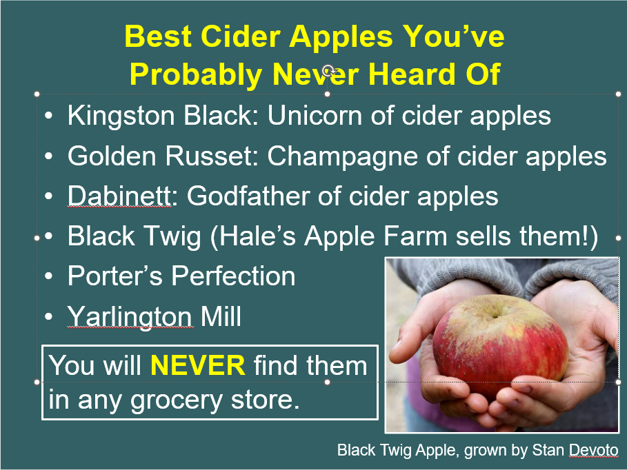 The Speaker From September 21, 2023 | Rotary Club of Santa Rosa Sunrise