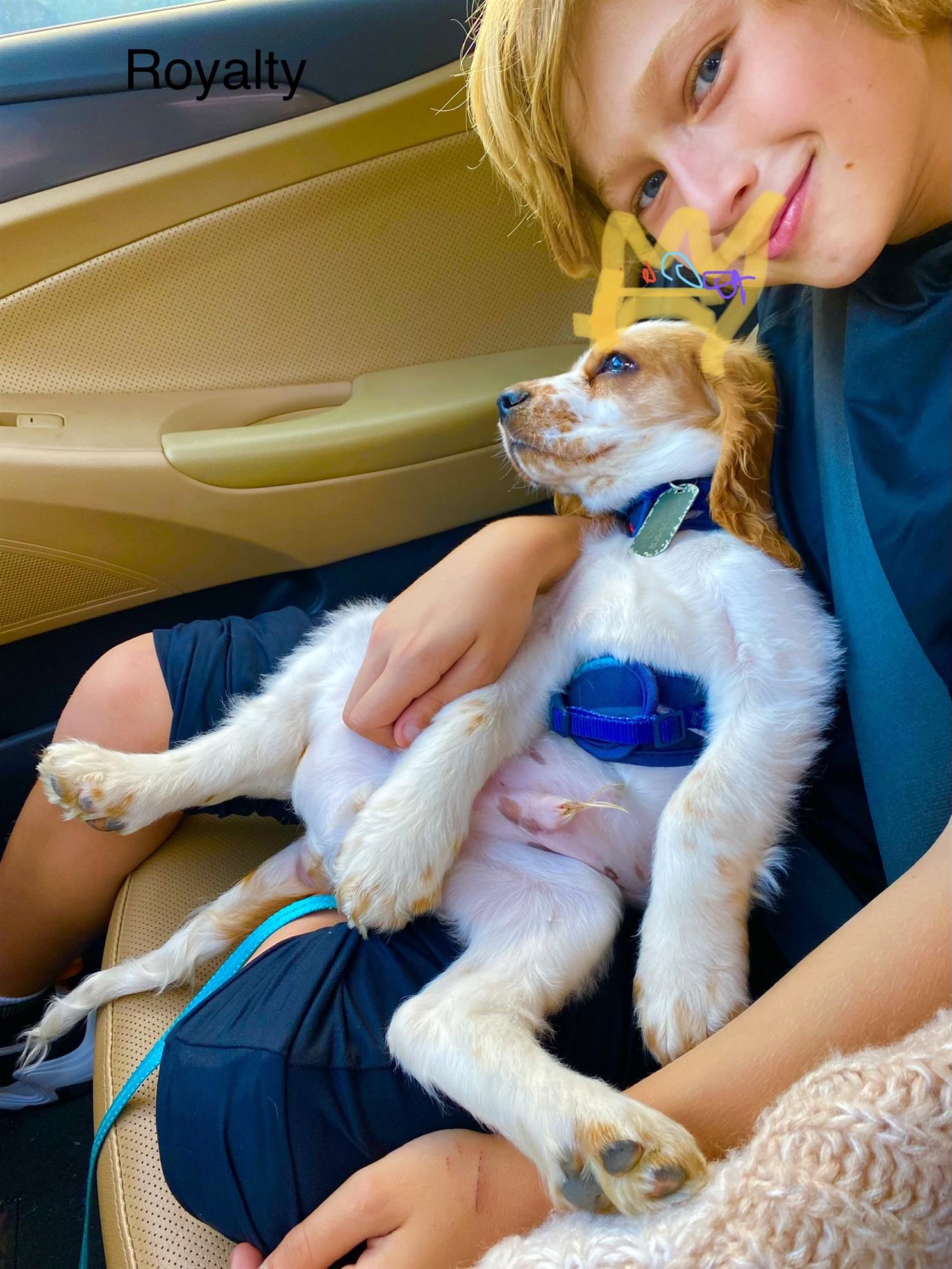 Lean On Me | Rotary Club of Santa Rosa Sunrise