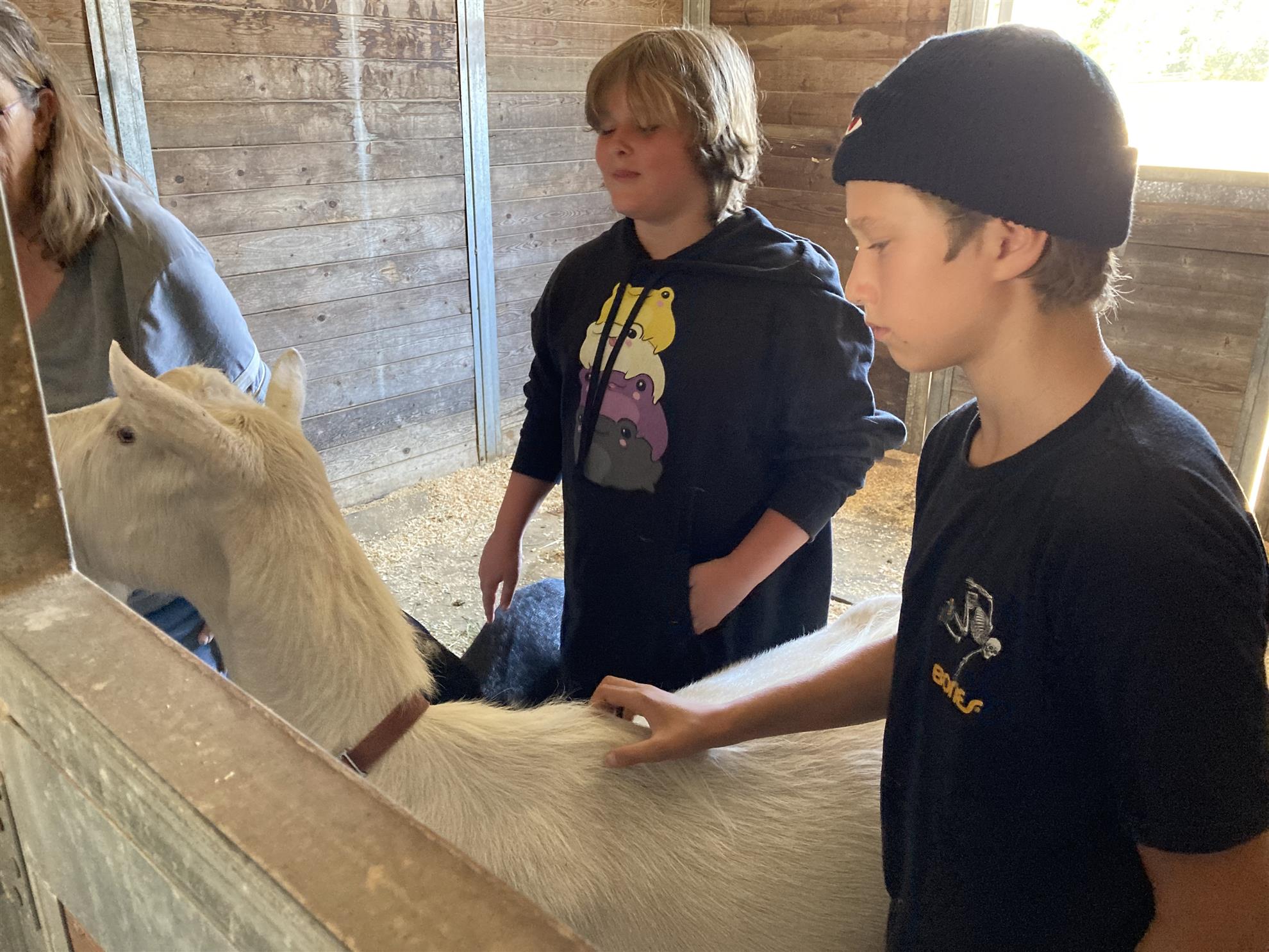 Forget Me Not Farm and Family | Rotary Club of Santa Rosa Sunrise