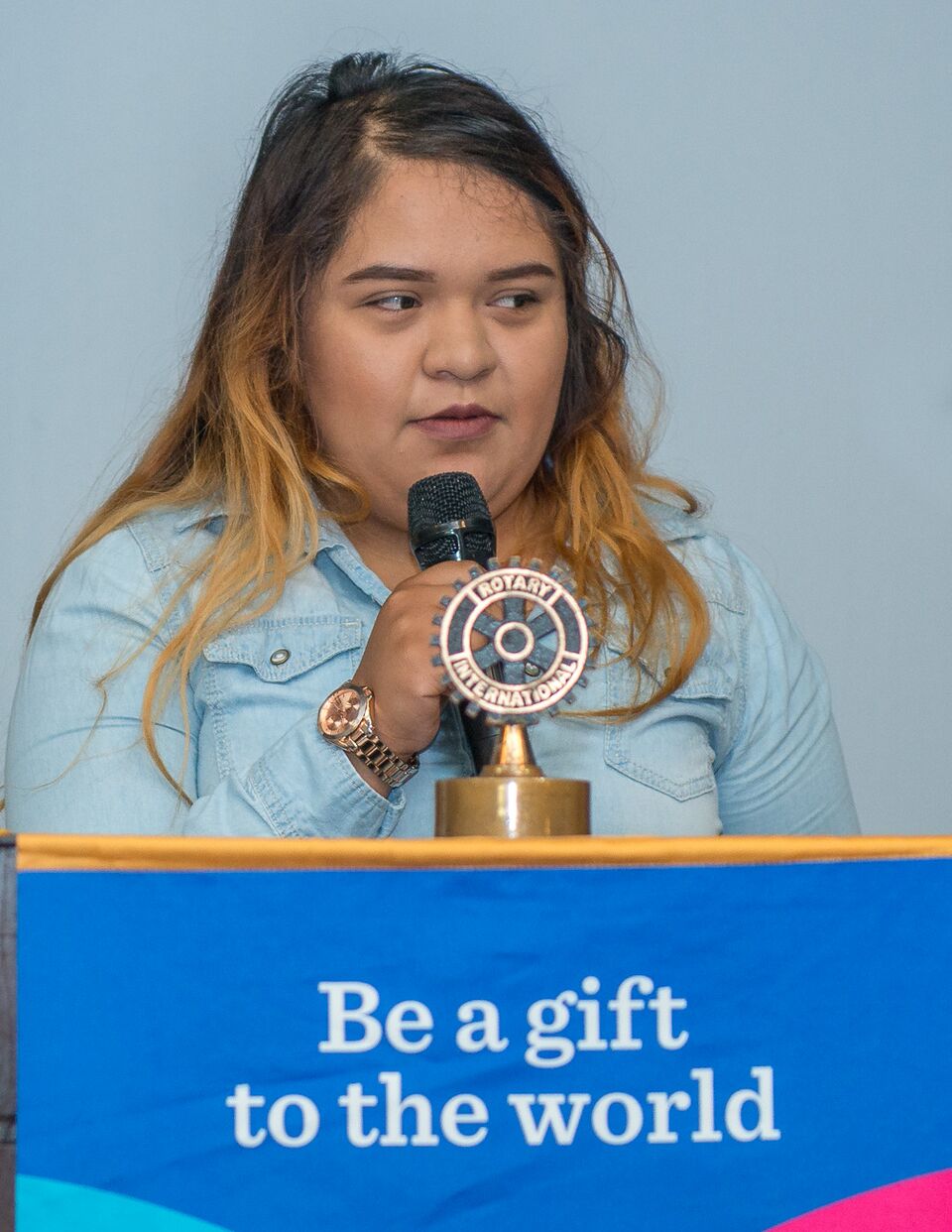 Program summary SOS | Rotary Club of Santa Rosa Sunrise