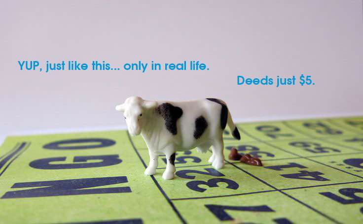 Cow Chip Bingo at Swamp Yankee Days! | The Rotary Club of Chariho