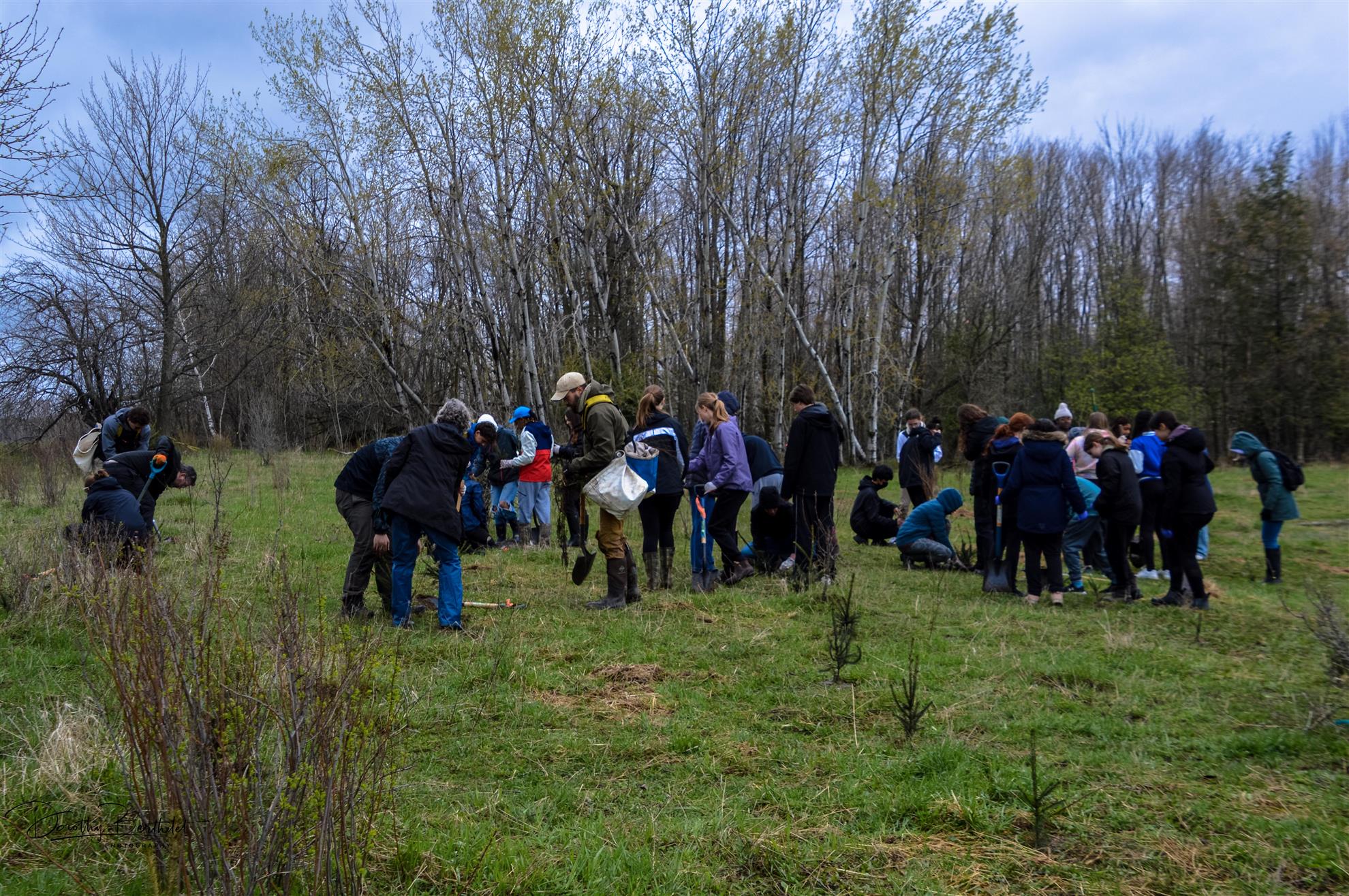 May 2nd 1000 Trees Planted by Youth! | Rotary Club of Orleans