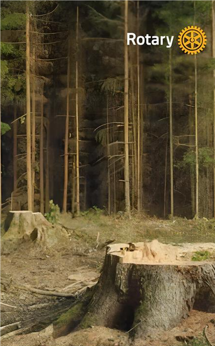 Estes Valley Sunrise Rotary - Information and Meeting Recap (January 6 ...